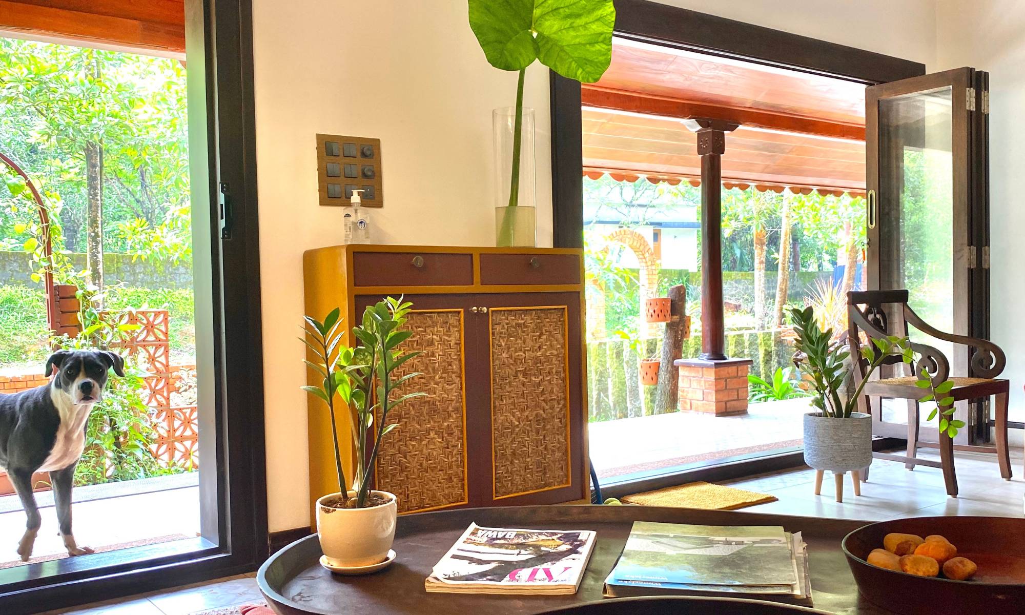 Renewable Energy Solutions for Sustainable Homes: Exploring Solar, Wind ...